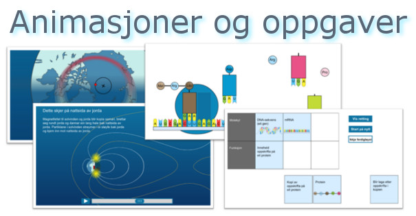 Animasjoner og oppgaver